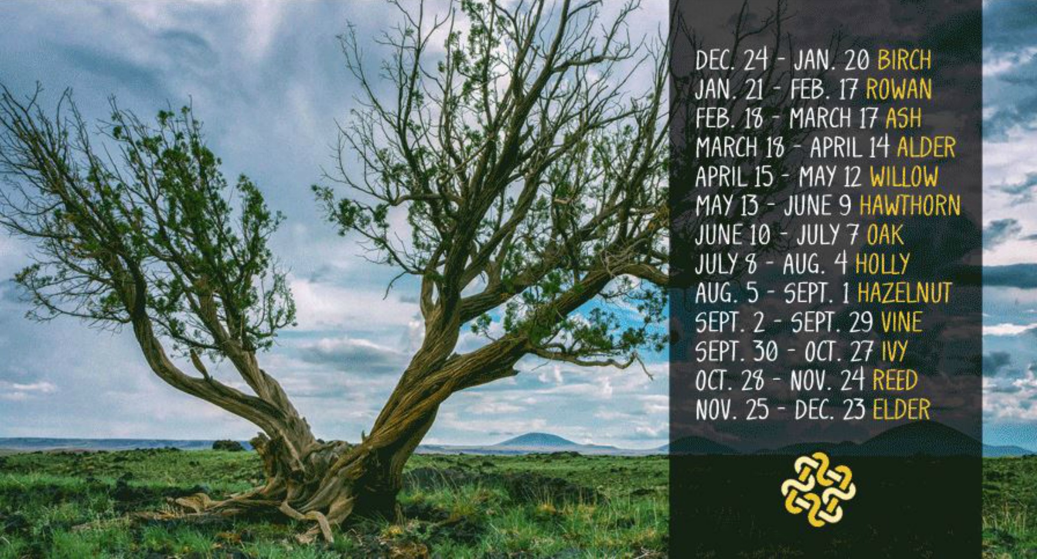 Celtic Astrology – Apanache