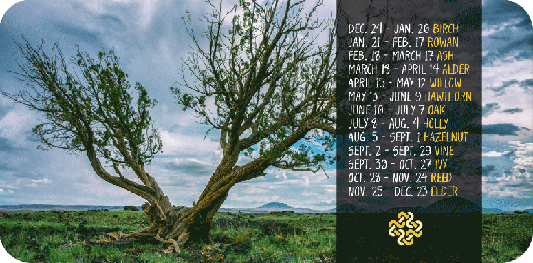 Celtic Astrology – Apanache