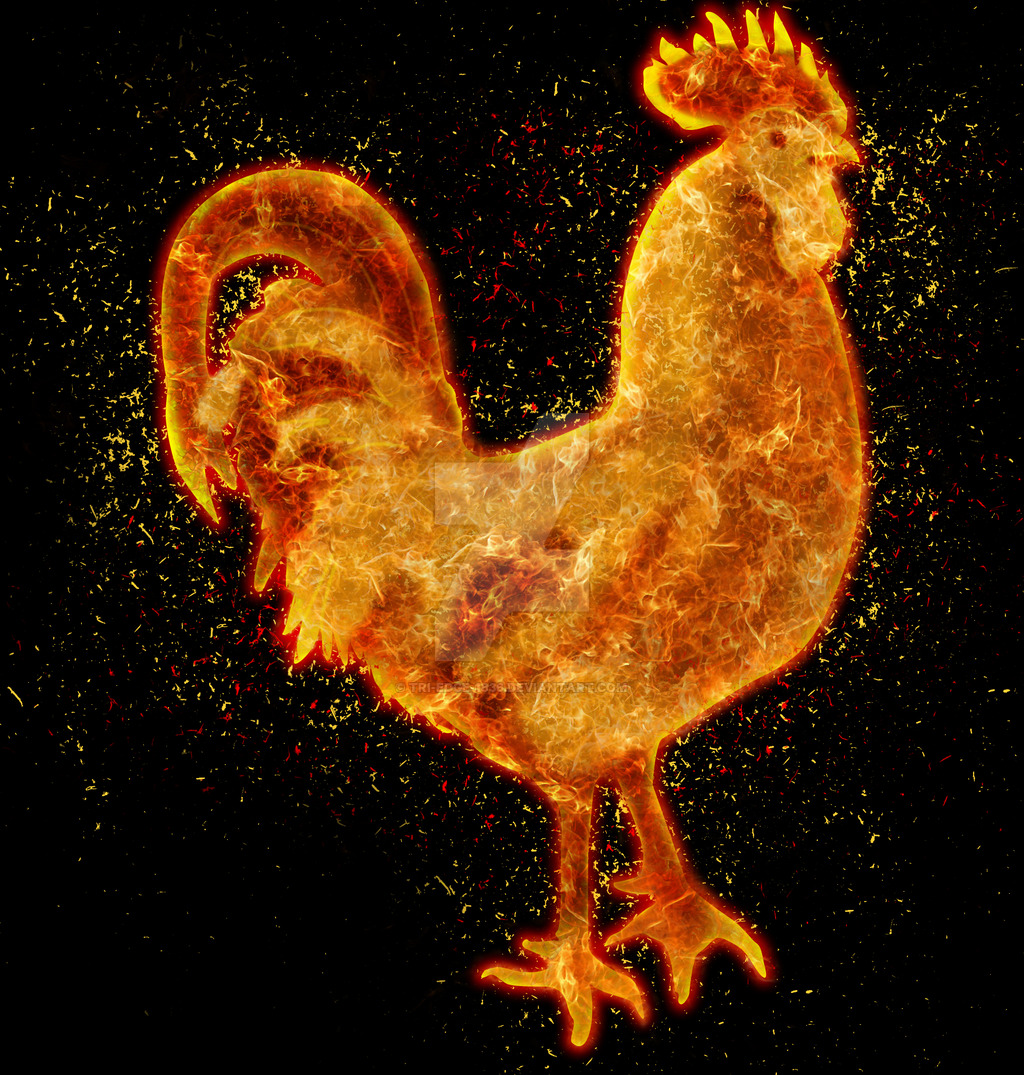 Chinese Year of the Fire Rooster ~ 2017 – Apanache