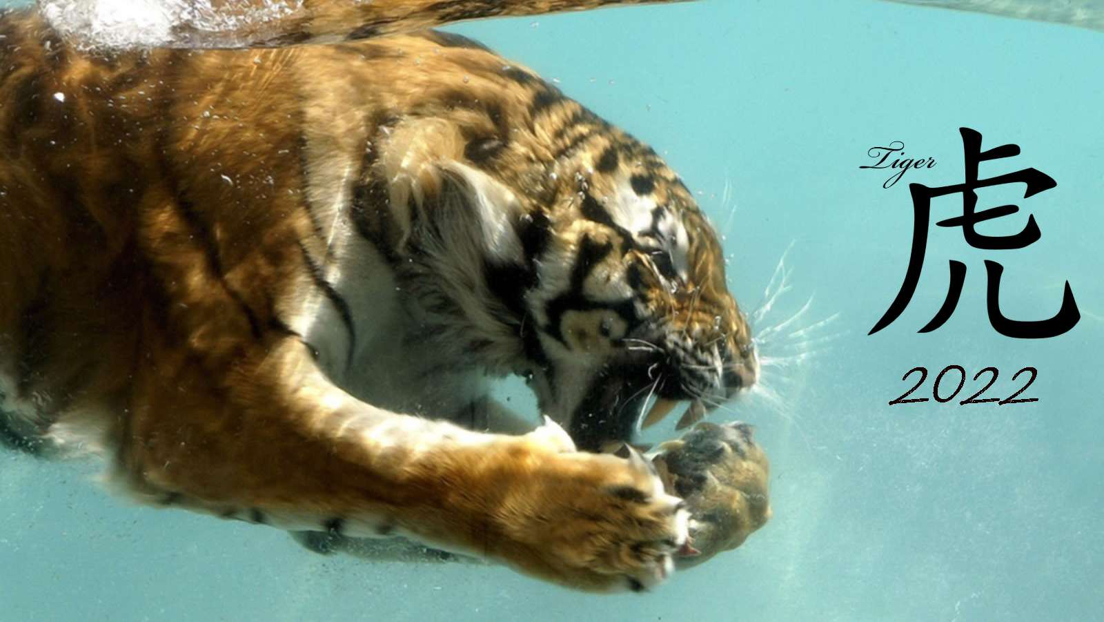 Year of the Water Tiger – 2022 – Apanache