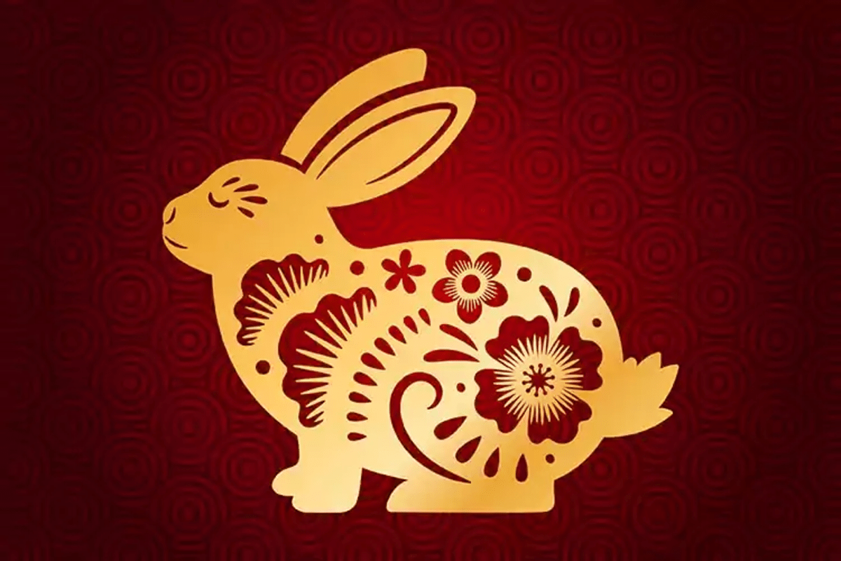 Year of the Rabbit – 2023 – Apanache